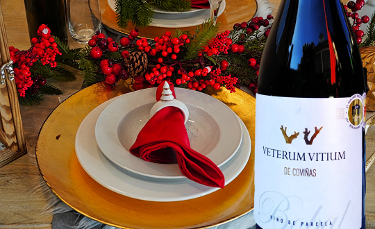 Cata del vino Veterum Vitium 2016, Bodegas Coviñas – Sobrelias