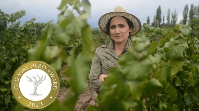 Laura Catena gana el premio Old Vine Hero Award 2023 – Sobrelias